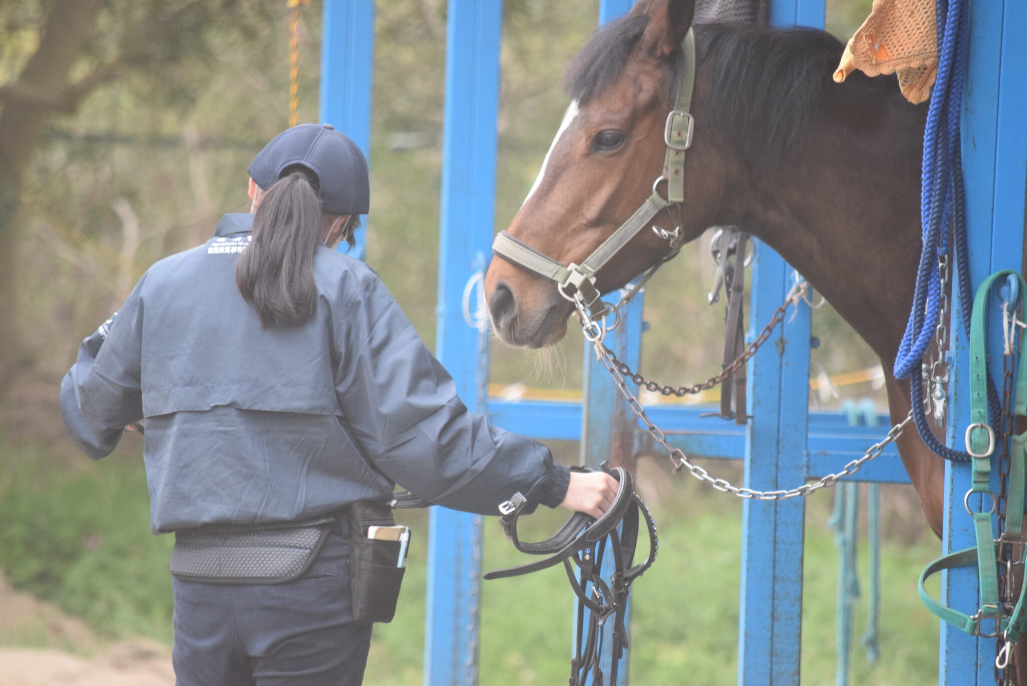 馬の学校ブログ人も馬も守るために、学びます。 - 馬の学校【高校】東関東馬事高等学院（公式）／千葉県山武市・八街市 馬の学校/バジガク