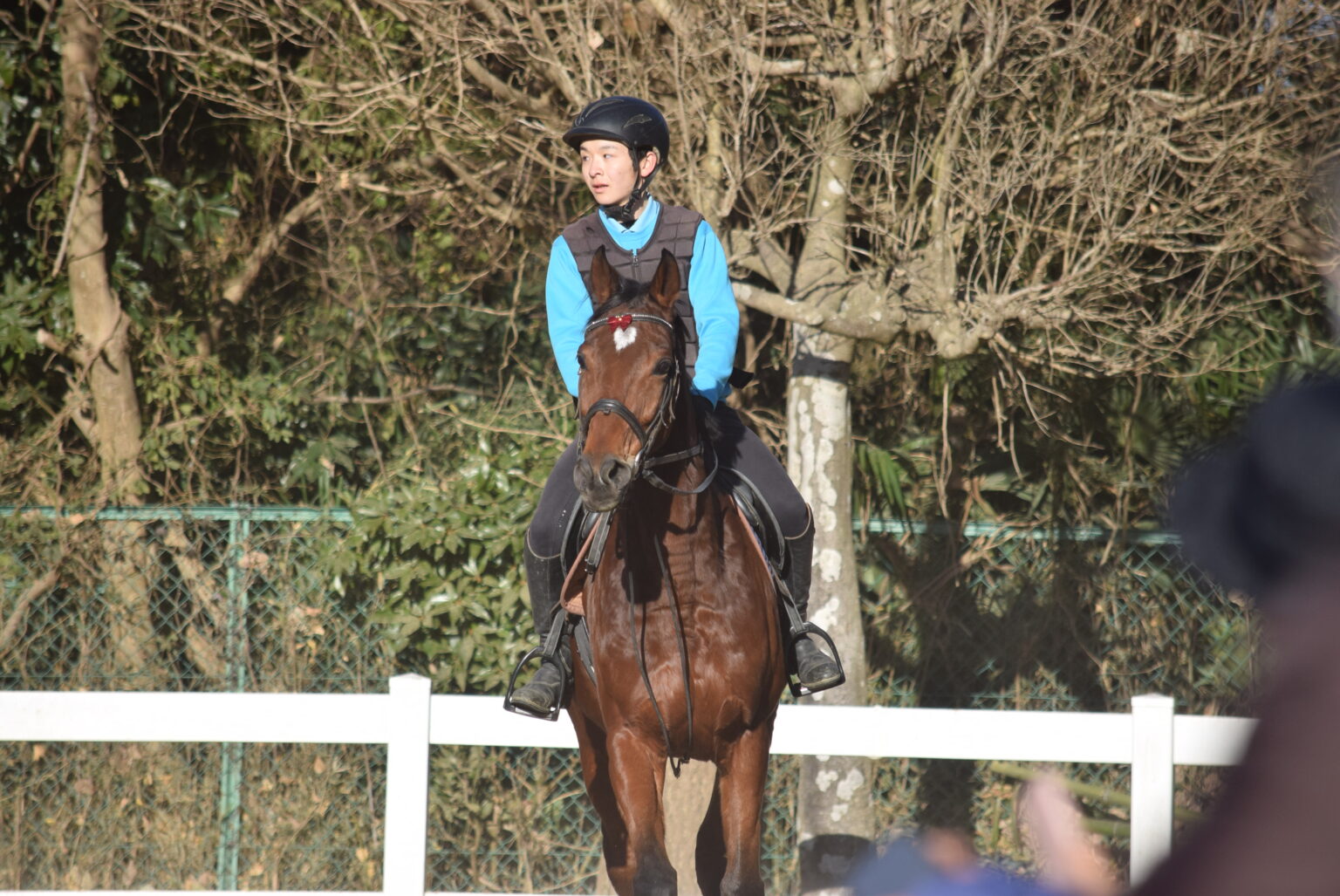 Retouch(リタッチ)見学会が開催されました！/馬・関東 - 馬の学校【高校】東関東馬事高等学院（公式）／千葉県山武市・八街市