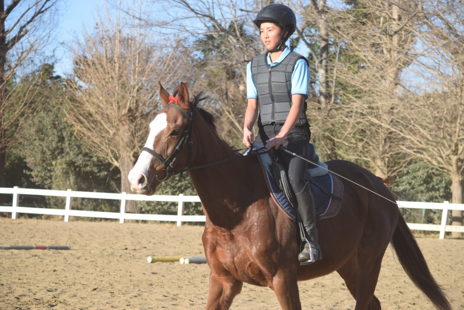 Retouch(リタッチ)見学会が開催されました！/馬・関東 - 馬の学校【高校】東関東馬事高等学院（公式）／千葉県山武市・八街市