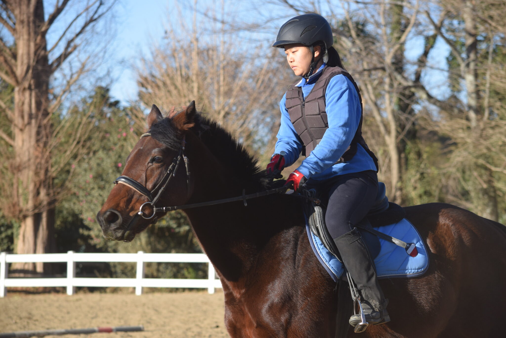 Retouch(リタッチ)見学会が開催されました！/馬・関東 - 馬の学校【高校】東関東馬事高等学院（公式）／千葉県山武市・八街市