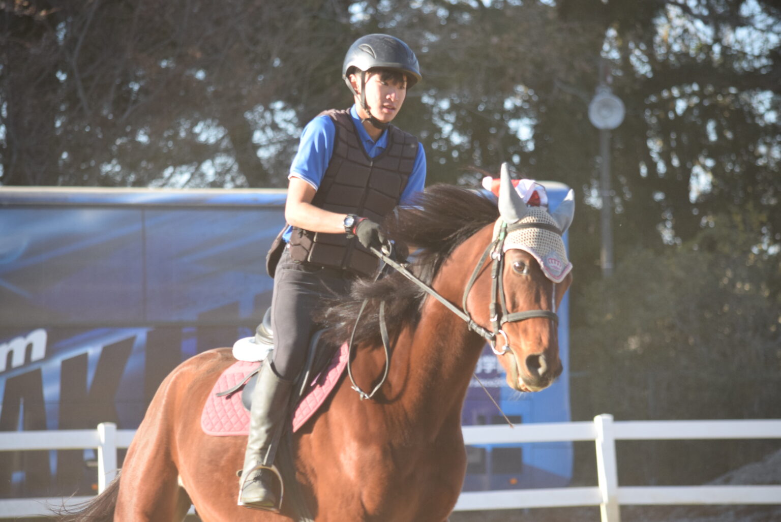 Retouch(リタッチ)見学会が開催されました！/馬・関東 - 馬の学校【高校】東関東馬事高等学院（公式）／千葉県山武市・八街市