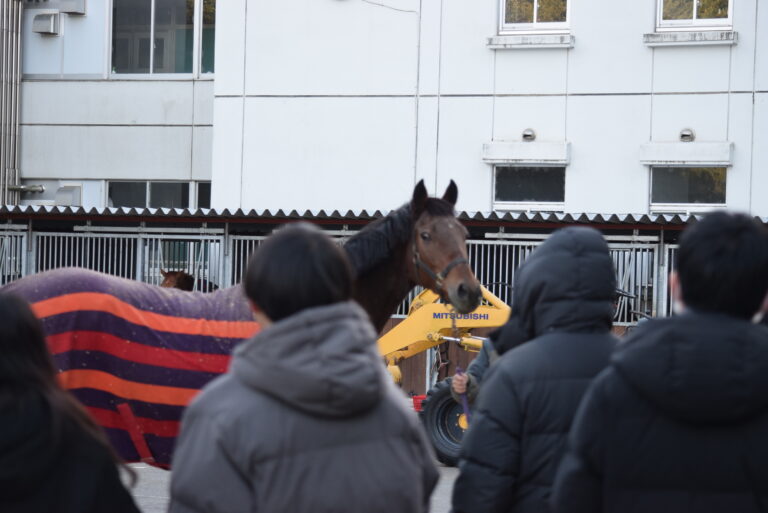 Retouch(リタッチ)見学会が開催されました！/馬・関東 - 馬の学校【高校】東関東馬事高等学院（公式）／千葉県山武市・八街市