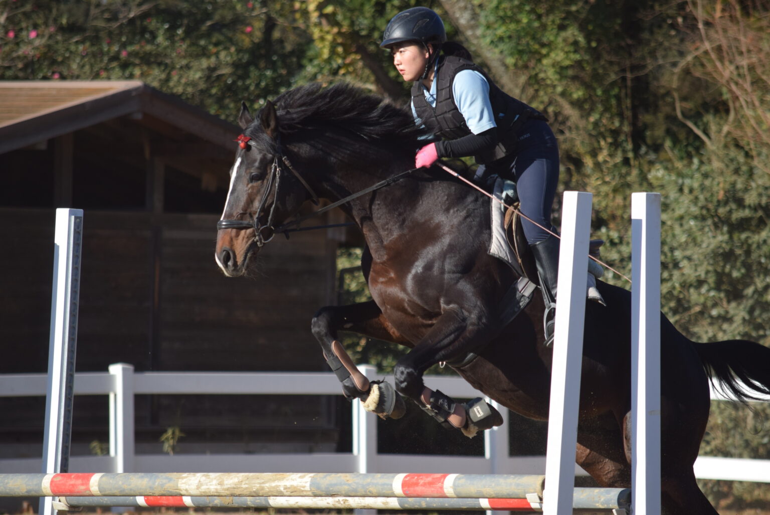Retouch(リタッチ)見学会が開催されました！/馬・関東 - 馬の学校【高校】東関東馬事高等学院（公式）／千葉県山武市・八街市