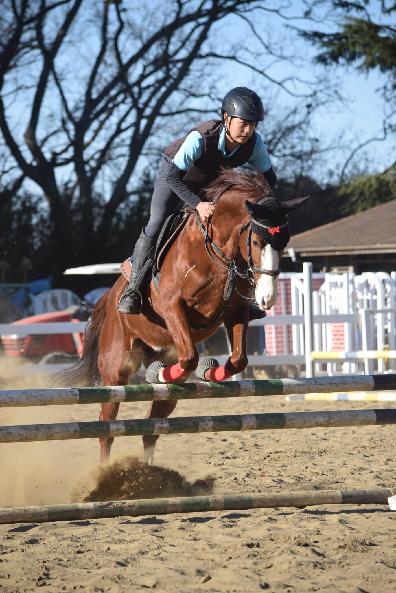 Retouch(リタッチ)見学会が開催されました！/馬・関東 - 馬の学校【高校】東関東馬事高等学院（公式）／千葉県山武市・八街市