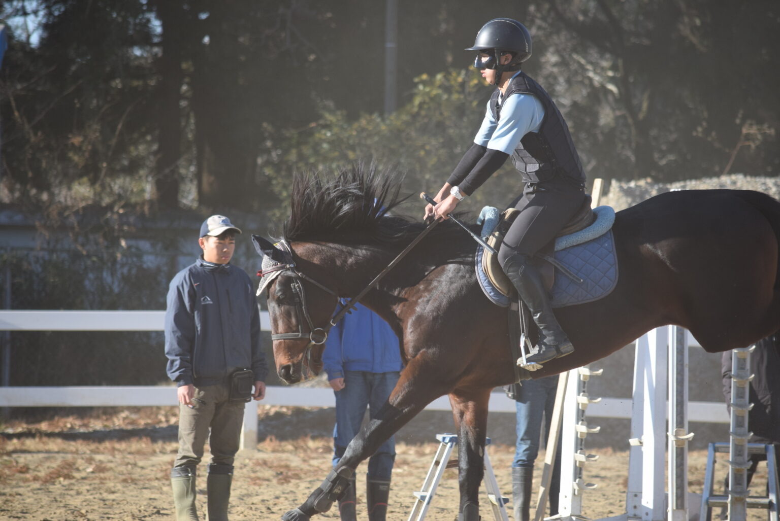 Retouch(リタッチ)見学会が開催されました！/馬・関東 - 馬の学校【高校】東関東馬事高等学院（公式）／千葉県山武市・八街市