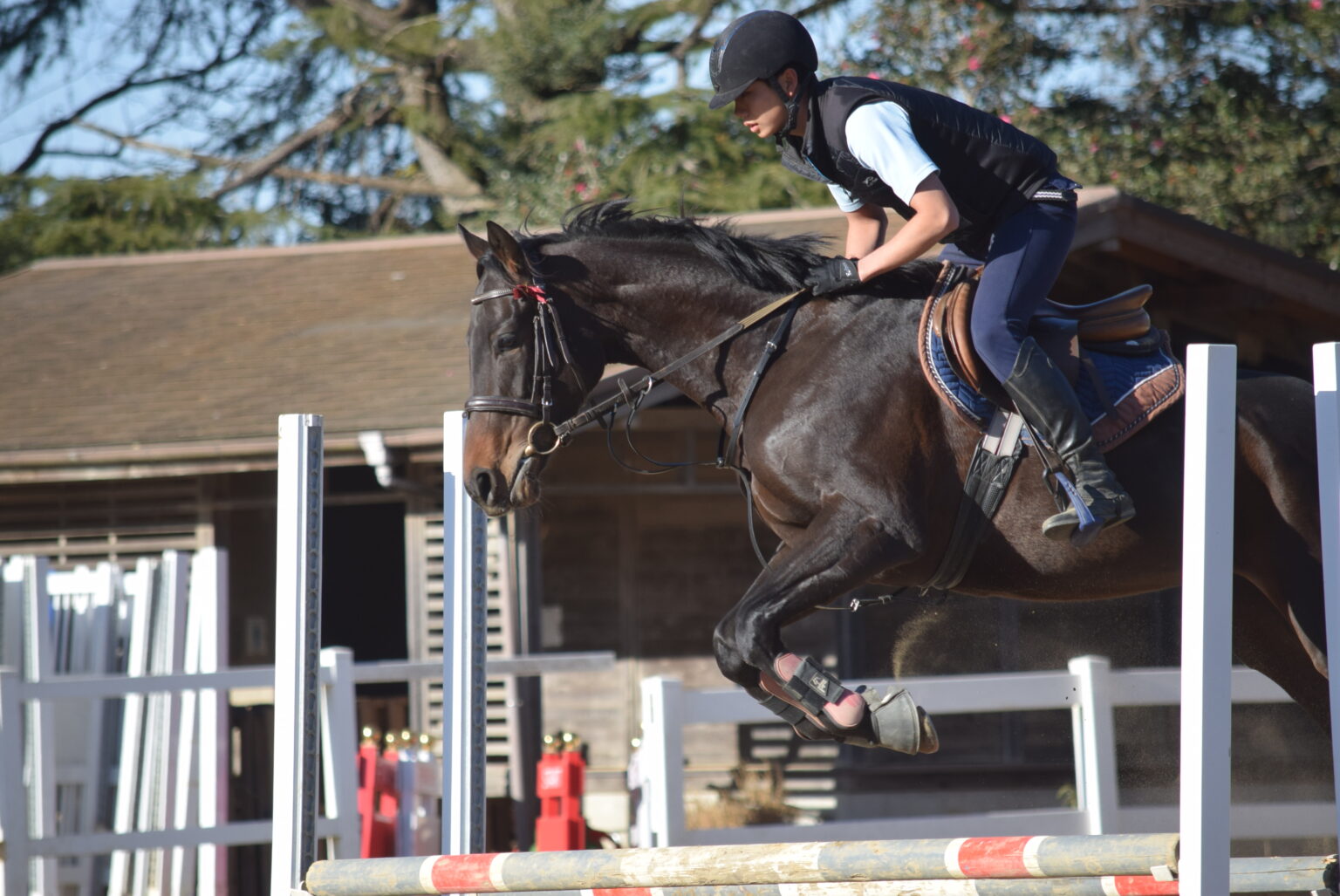 Retouch(リタッチ)見学会が開催されました！/馬・関東 - 馬の学校【高校】東関東馬事高等学院（公式）／千葉県山武市・八街市