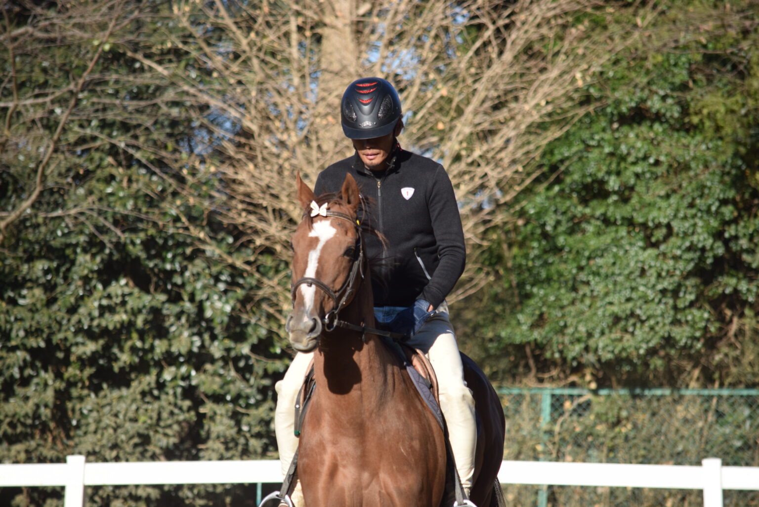 Retouch(リタッチ)見学会が開催されました！/馬・関東 - 馬の学校【高校】東関東馬事高等学院（公式）／千葉県山武市・八街市