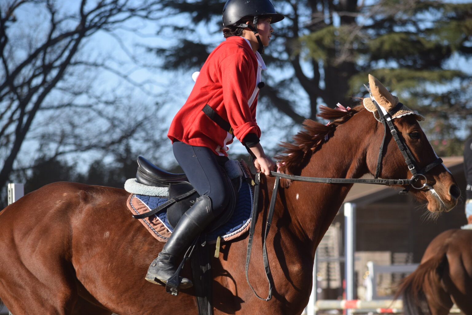 Retouch(リタッチ)見学会が開催されました！/馬・関東 - 馬の学校【高校】東関東馬事高等学院（公式）／千葉県山武市・八街市